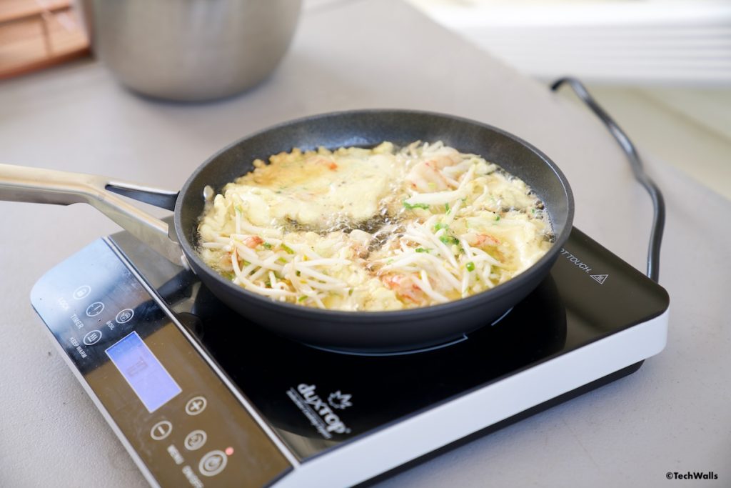 Duxtop 9610LS / BT-200DZ Portable Induction Cooktop Review - The Best ...